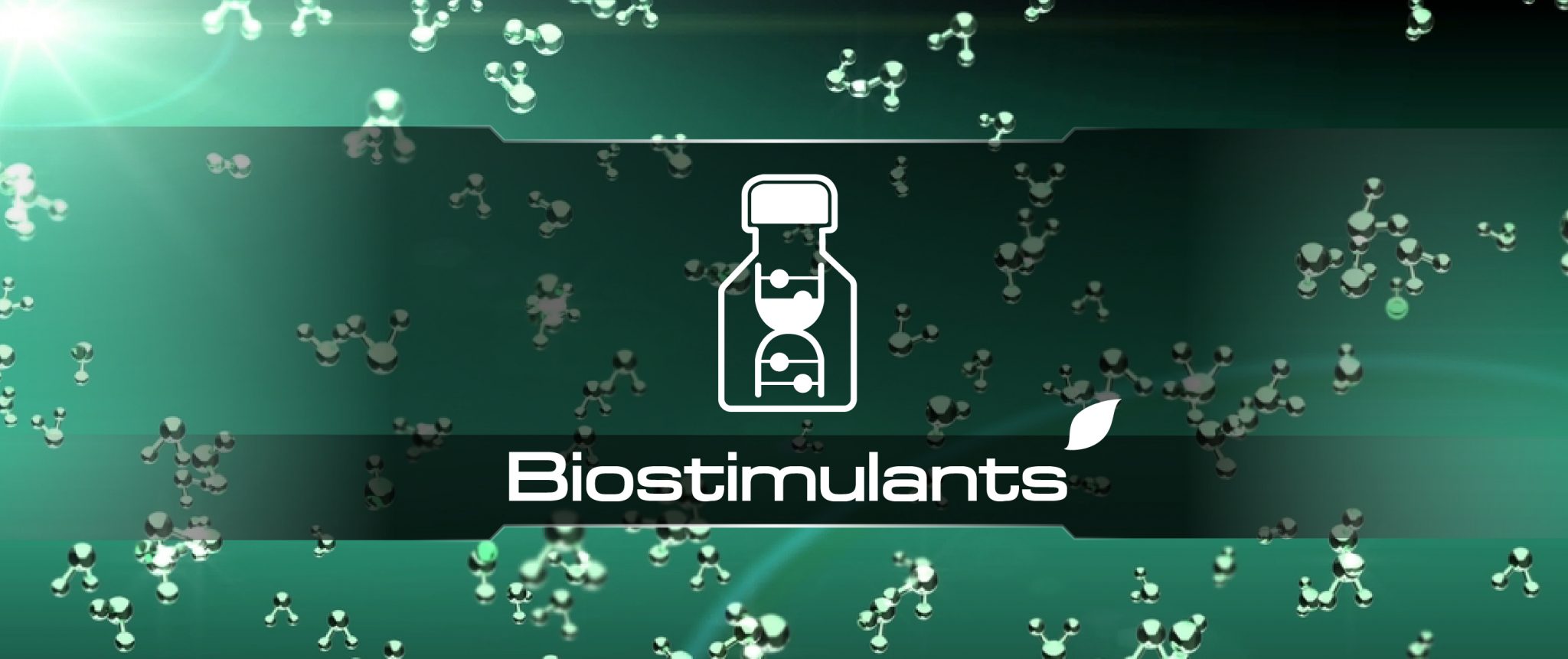 Biostimulants - NAP+