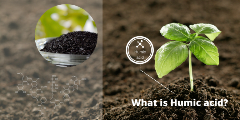 Humic acid vs. Fulvic acid - NAP+