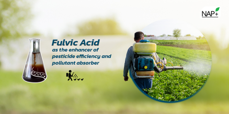 NAP+ No. 1 Manufacturer of crop nutrition in Thailand.