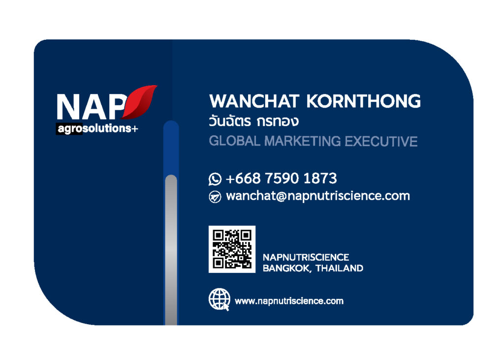 NAP catalog 2025 - NAP+